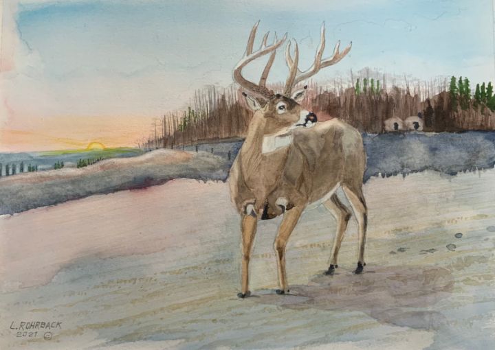 Dusk Look Back - ArtbyRohrback - Paintings & Prints, Animals, Birds ...