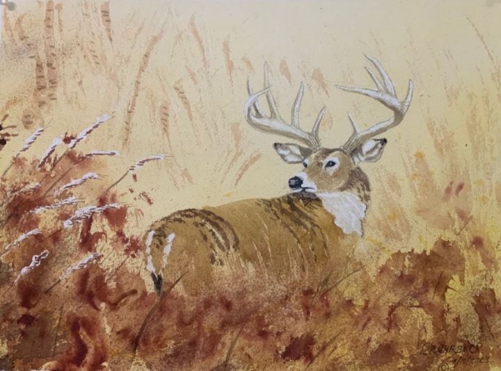 Just a Look Back - ArtbyRohrback - Paintings & Prints, Animals, Birds ...