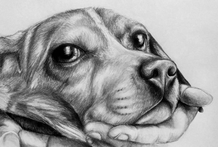 CM Creations - Drawings & Illustration