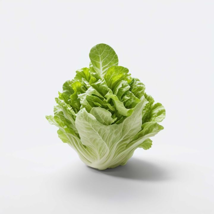 Buy Lettuce, Vegetables, Food & Beverage at ArtPal