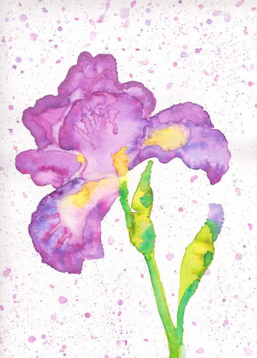 Spring Iris Watercolor - Giggle Paint - Paintings & Prints, Flowers ...