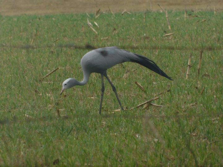 Malachi - Photography