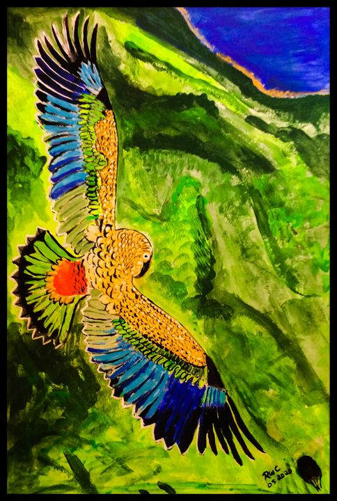 Flying High - Roberts Art - Paintings & Prints, Animals, Birds, & Fish ...