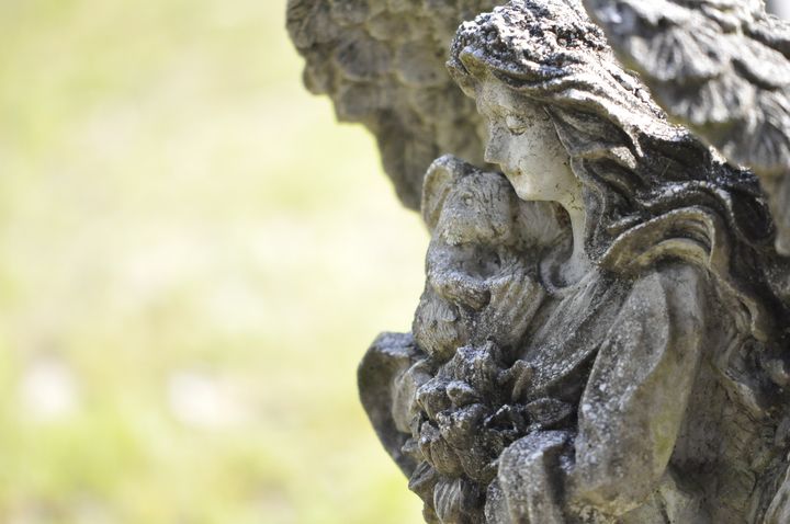 Watching Over Me - Leslie Lovell - Photography, Still Life, Other Still ... Watching Over Me - Leslie Lovell - Photography, Still Life, Other Still ...