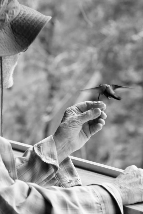 At peace with a hummingbird - Mark Ball Photography - Photography ...