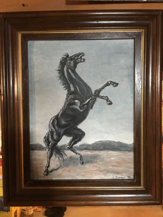 Black stalion - Barani Jano - Paintings & Prints, Animals, Birds ...