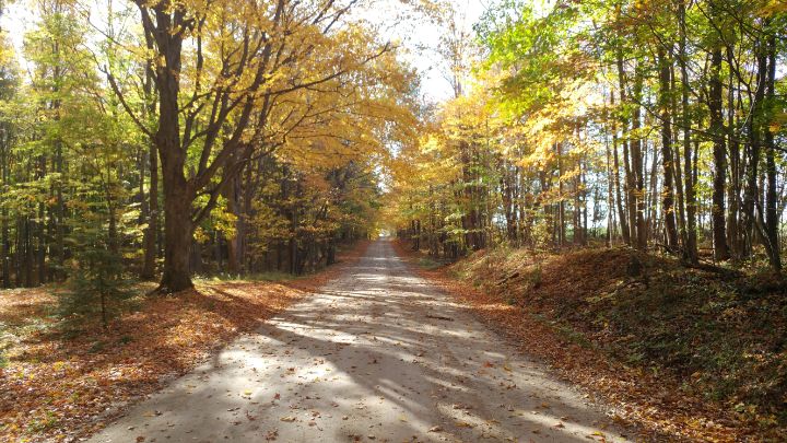 Fall side road - P3 Projects - Photography, Landscapes & Nature, Other ...