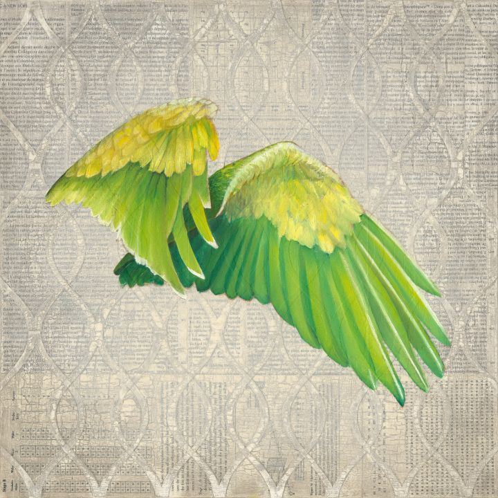 Wings III - SRW - Paintings & Prints, Still Life, Other Still Life - ArtPal