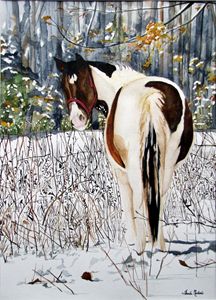 FANphotography & Fine Art - Paintings & Prints