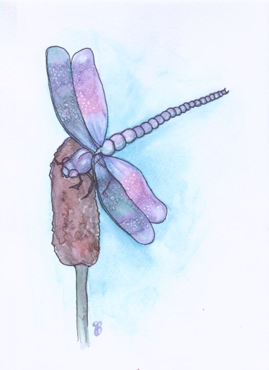 Dragonfly Perch - Sandra Jane Hayes Burns - Drawings & Illustration ...