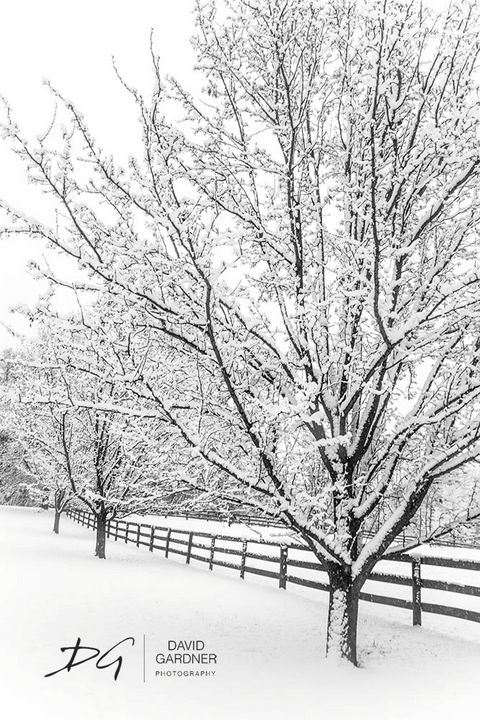 2019 Snowstorm - David Gardner Photography - Photography, Landscapes ...