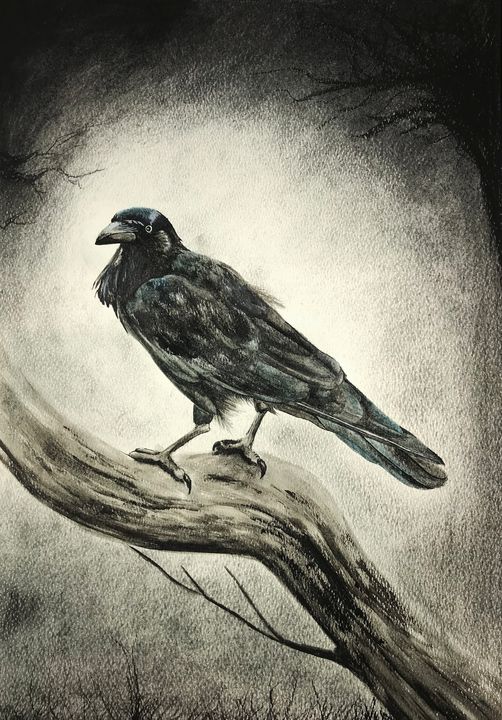 The Raven - Fine Line Creations - Drawings & Illustration, Animals ...