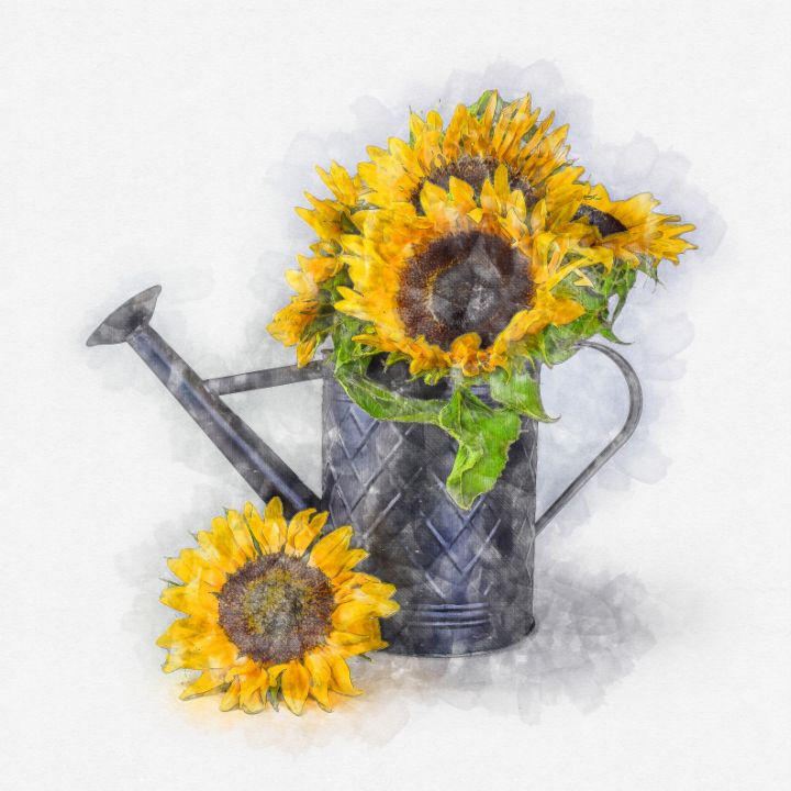 Sunflowers - BP Design Studio Photography - Photography, Flowers ...