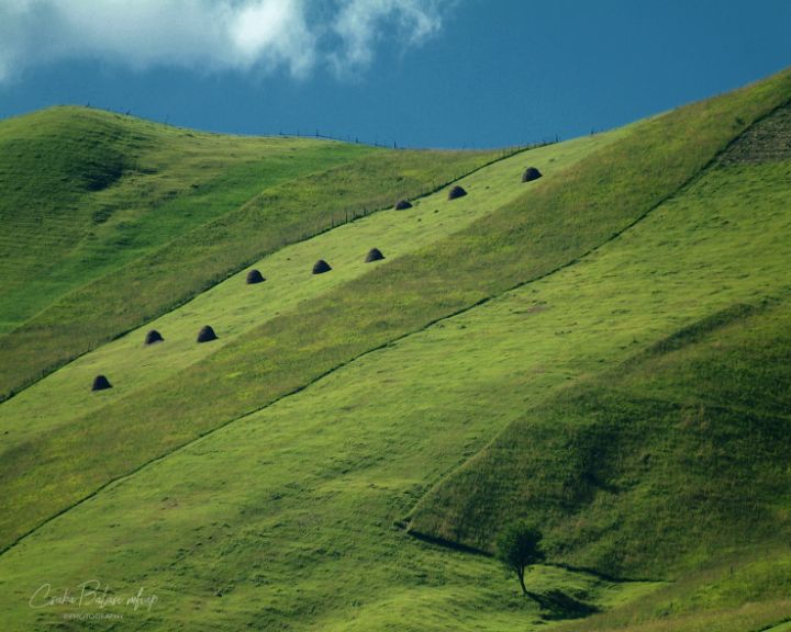 Balasi - Photography