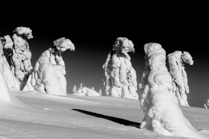 Council of Elders - Balasi's Gallery - Photography, Landscapes & Nature ...