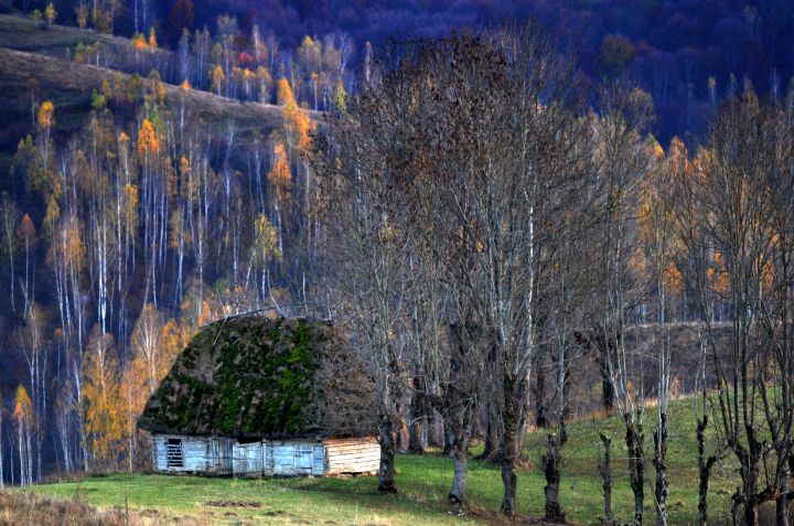Automn in Western Charpatian - Balasi's Gallery - Photography ...