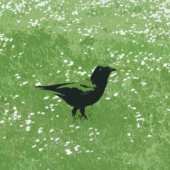 Green Grass Crow - Michael L Childs - Photography, Animals, Birds ...