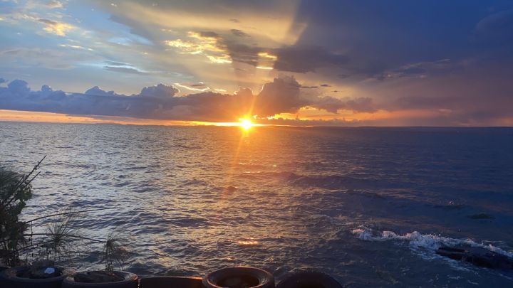 Wisdom - Photography