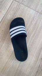 Wisdom - Photography