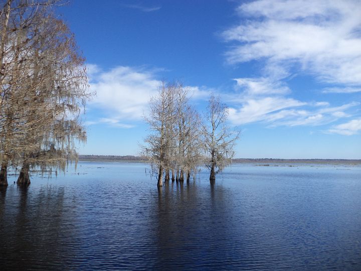 Lake Miccosukee - MRivera - Photography, Landscapes & Nature, Lakes ...