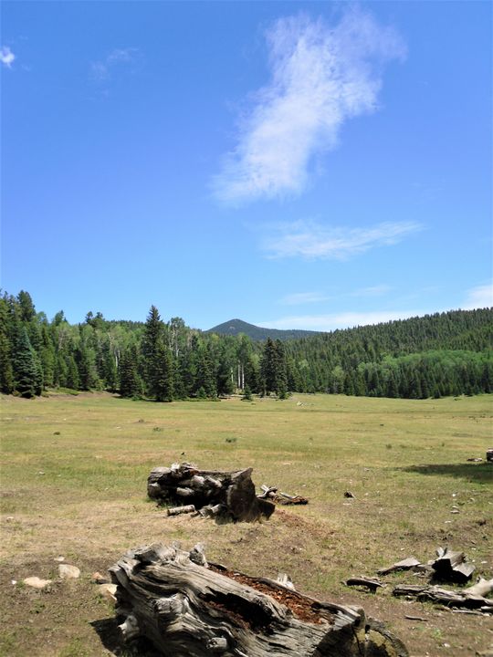 Field in the Mountains - Alex Leach Art and Photography - Photography ...
