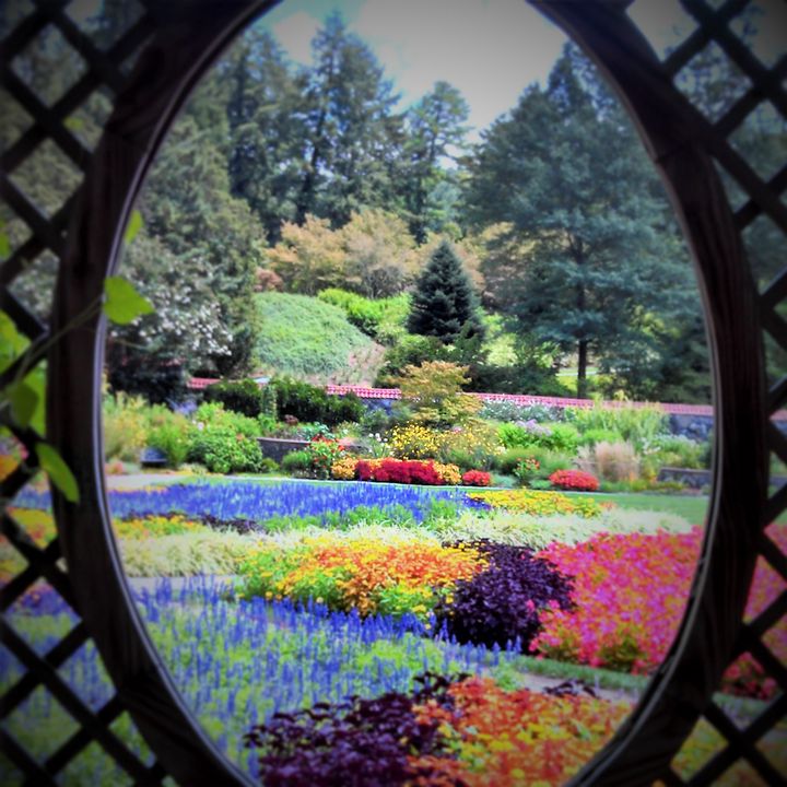 Garden WIndow - Alex Leach Art and Photography - Photography ...