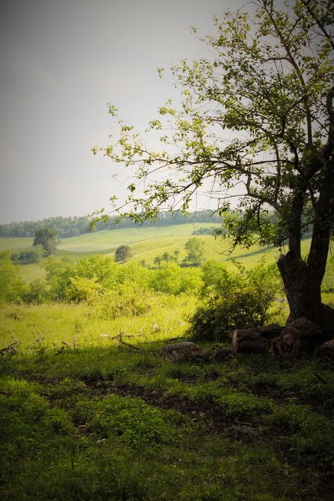 Lynn E. Miller Photography Prints - Photography