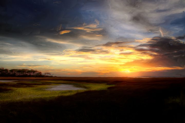 Bob Shapiro - Photography