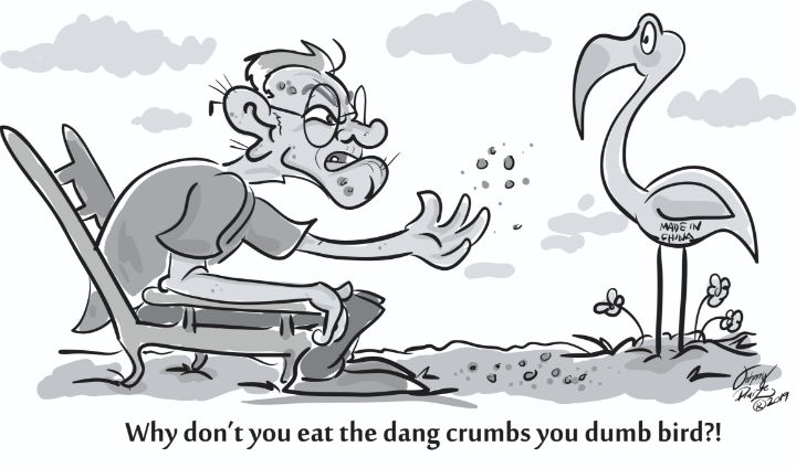 You dumb bird! - Johnny Praize - Drawings & Illustration, Humor ...