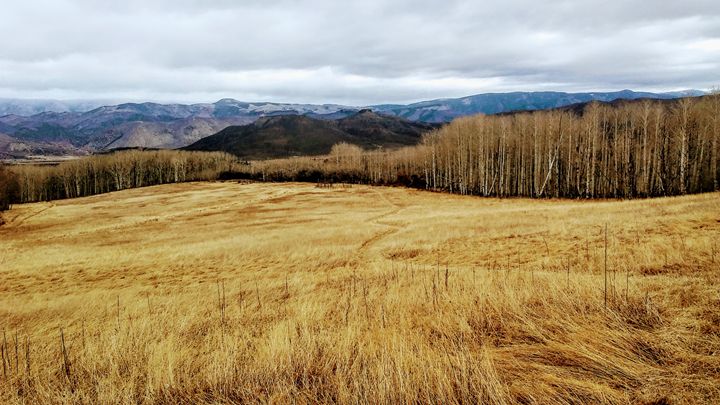 Short Cut - Slash Bar A Designs - Photography, Landscapes & Nature ...