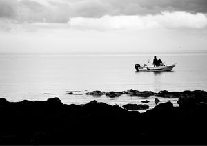 Julia Forte Art - Photography