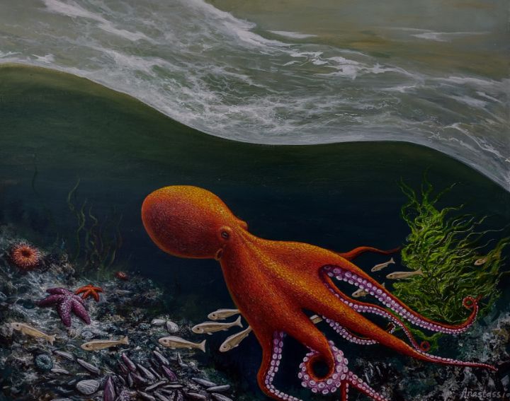 OctO - StarFish - Paintings & Prints, Animals, Birds, & Fish, Aquatic ...