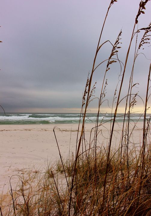 Reeds in the Sand - Hollinger Photography LLC - Photography, Landscapes ...