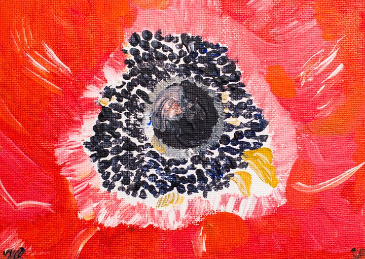 Poppy 30 - 100poppies100days - Paintings & Prints, Flowers, Plants ...