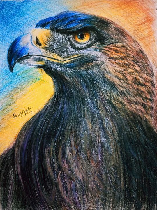 Eagle with sharp vision - SoniRMedhi Art - Drawings & Illustration ...