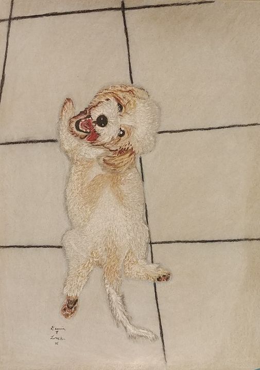 Poodle - Dennis E. Loucks - Drawings & Illustration, Animals, Birds ...