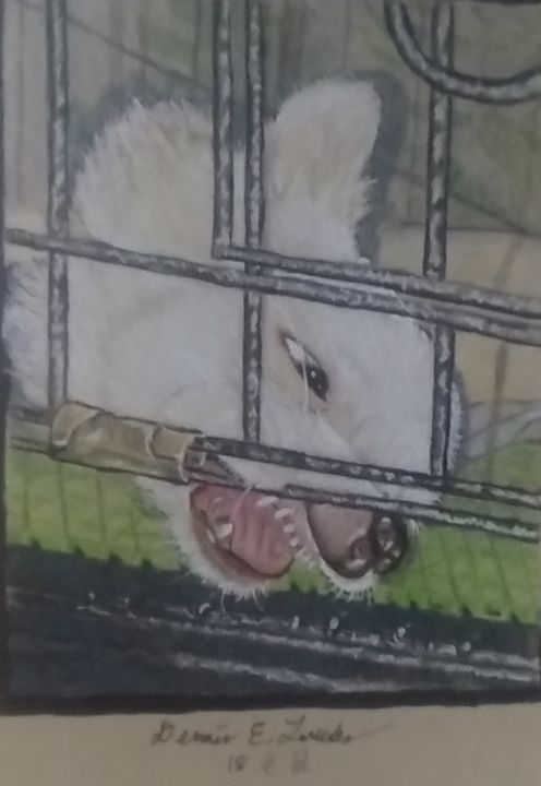 Caged - Dennis E. Loucks - Drawings & Illustration, Animals, Birds ...