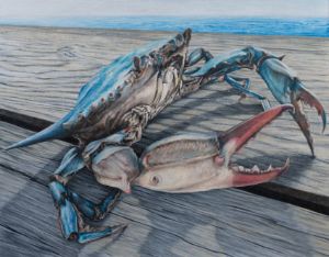Mark M McCoy Visuals - Drawings & Illustration, Paintings & Prints