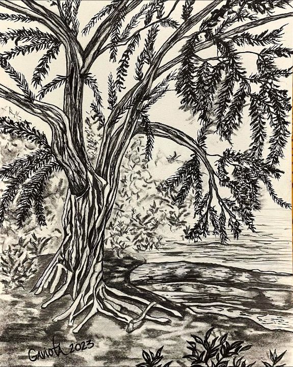 Gaviota - Paintings & Prints, Drawings & Illustration