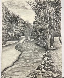 Gaviota - Drawings & Illustration, Paintings & Prints