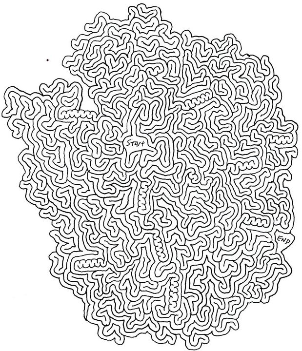 Most Intricate Maze Drawing