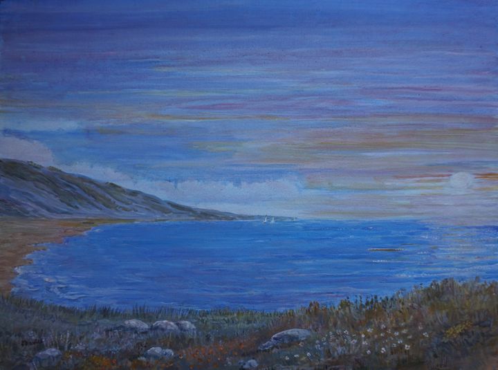 Summer Evening On The Coast - Artist Janet Davies - Paintings & Prints ...