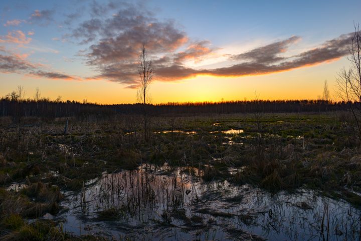 spring sky at sunset over a swamp - yarvin13 - Photography, Landscapes ...