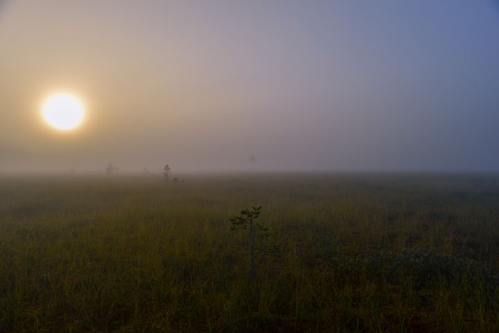 Majestic dawn glowing sun - yarvin13 - Photography, Landscapes & Nature ...