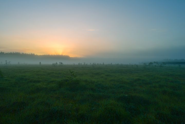 Rising sun rays over the swamp - yarvin13 - Photography, Landscapes ...