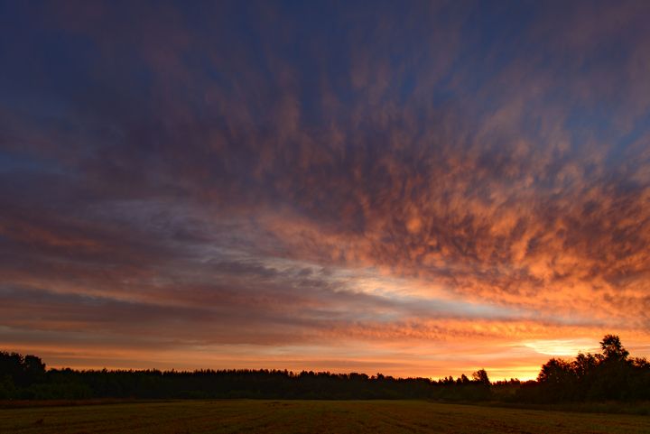 dawn sky over a green field - yarvin13 - Photography, Landscapes ...