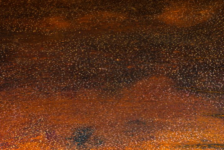 Bark texture of inner spruce tree - yarvin13 - Photography, Abstract ...