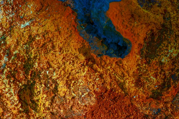 texture of the birch excrescence - yarvin13 - Photography, Abstract ...