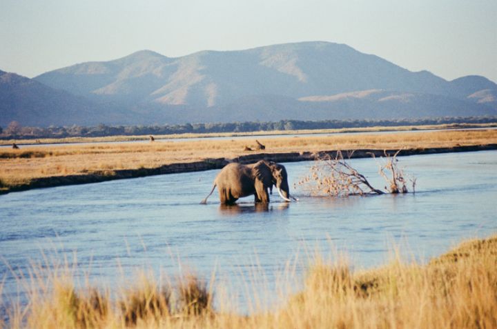 Chelsey Hunter - Photography