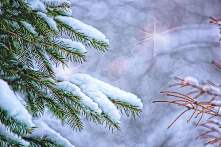 Winter Wonderland - Sharon McConnell - Photography, Landscapes & Nature ...